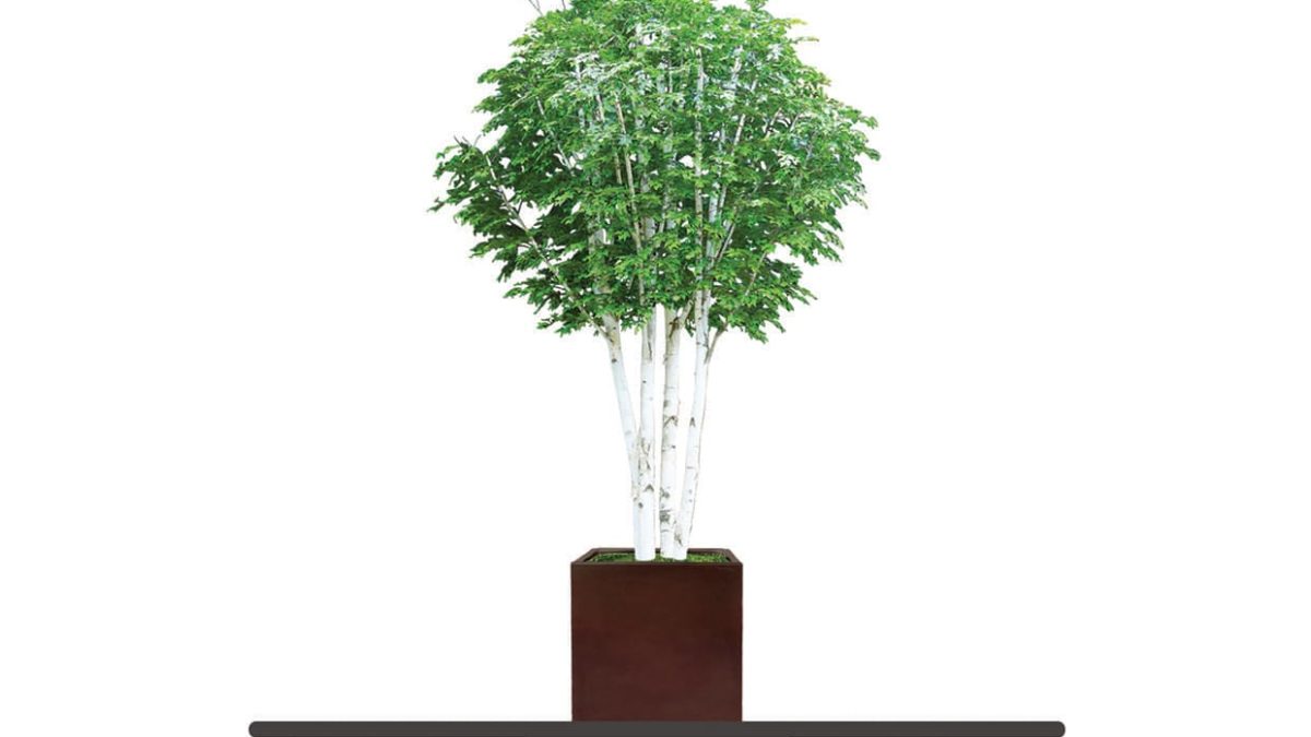 Artificial Potted Birch Trees