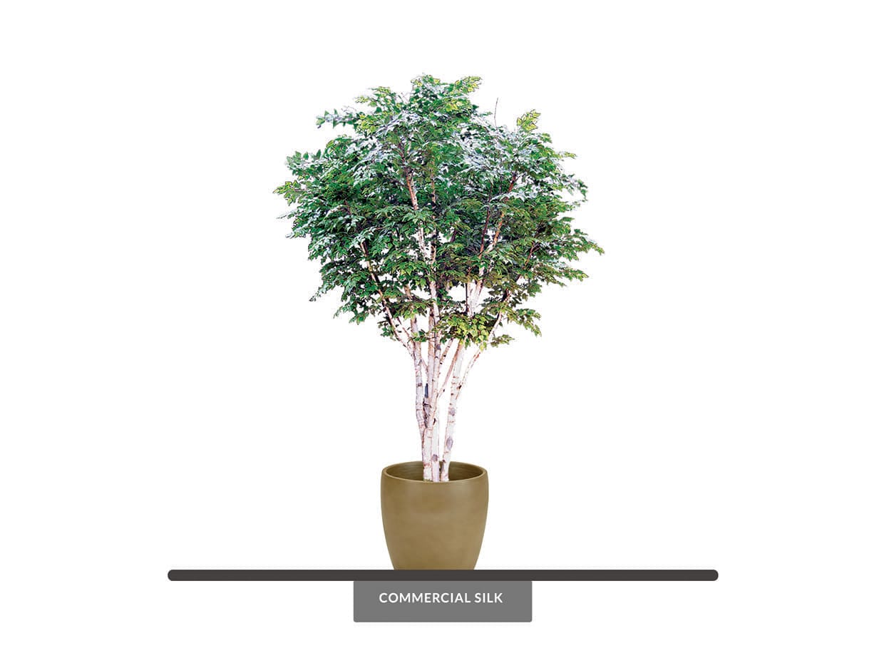 Artificial Potted Birch Trees