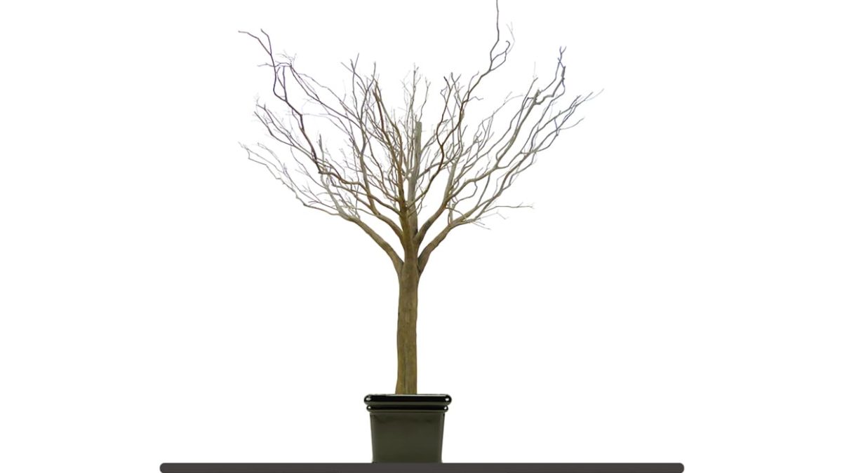 Large Artificial Trees Bare Branches