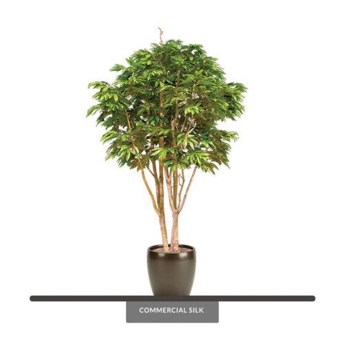 Indoor Ficus Trees | Artificial Indoor Trees | Commercial Silk