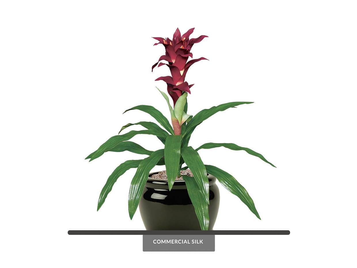 Bromeliad Guzmania Plant | Faux Indoor Potted Plant | Commercial Silk