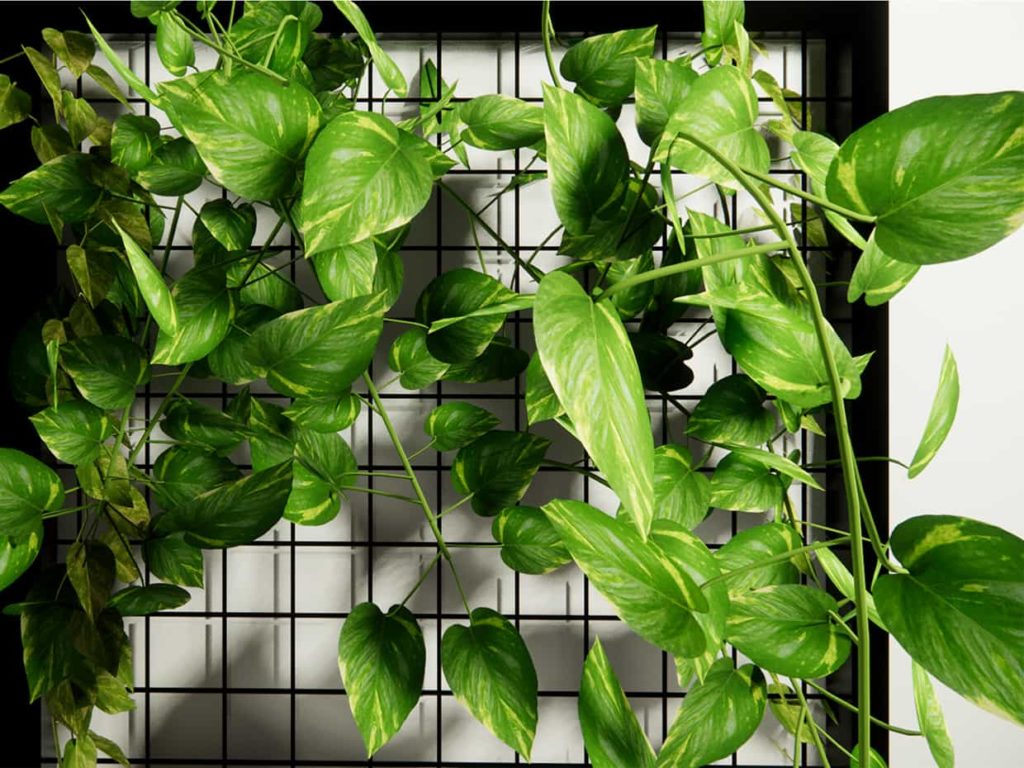 Artificial Plant Screen - Faux Greenery Biophilia Decor | Commercial Silk