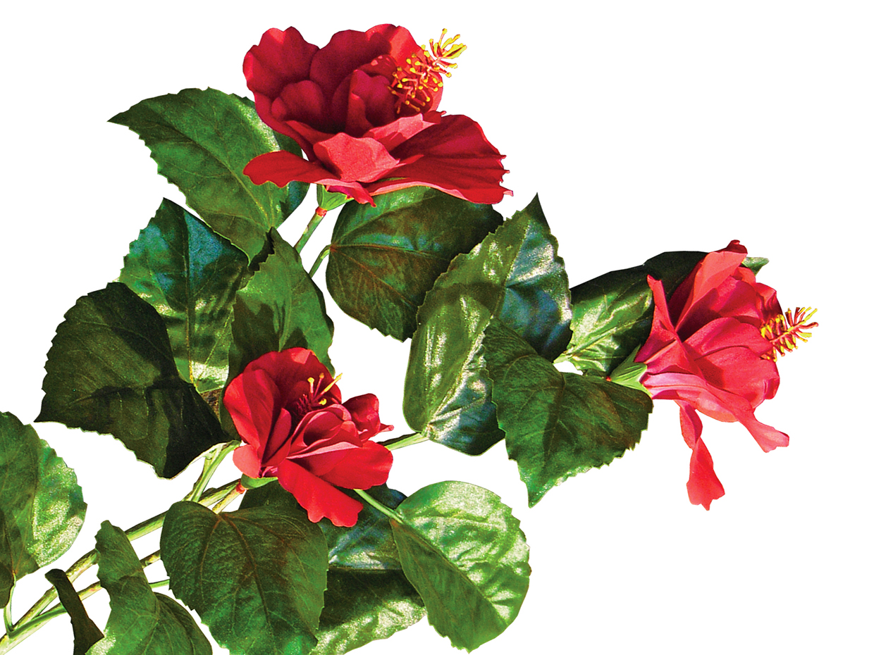 Hibiscus Tree | Artificial Tropical Indoor Tree | Commercial Silk